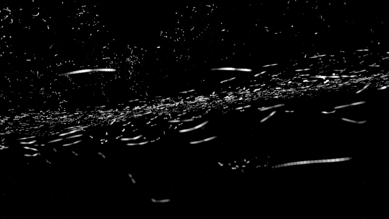 Computer Vision / Bioluminescence